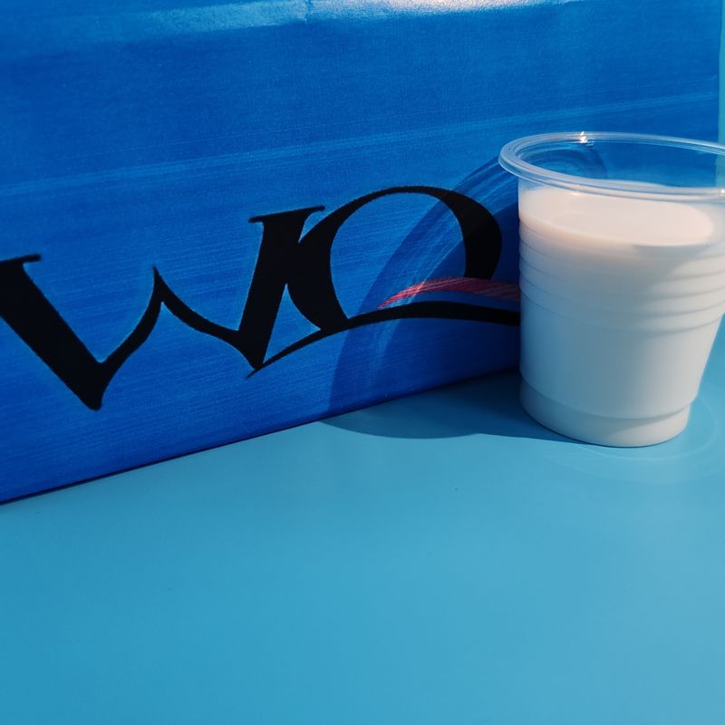 High-Performance Self-Crosslinked Acrylic Core-Shell Polymer Emulsion ...