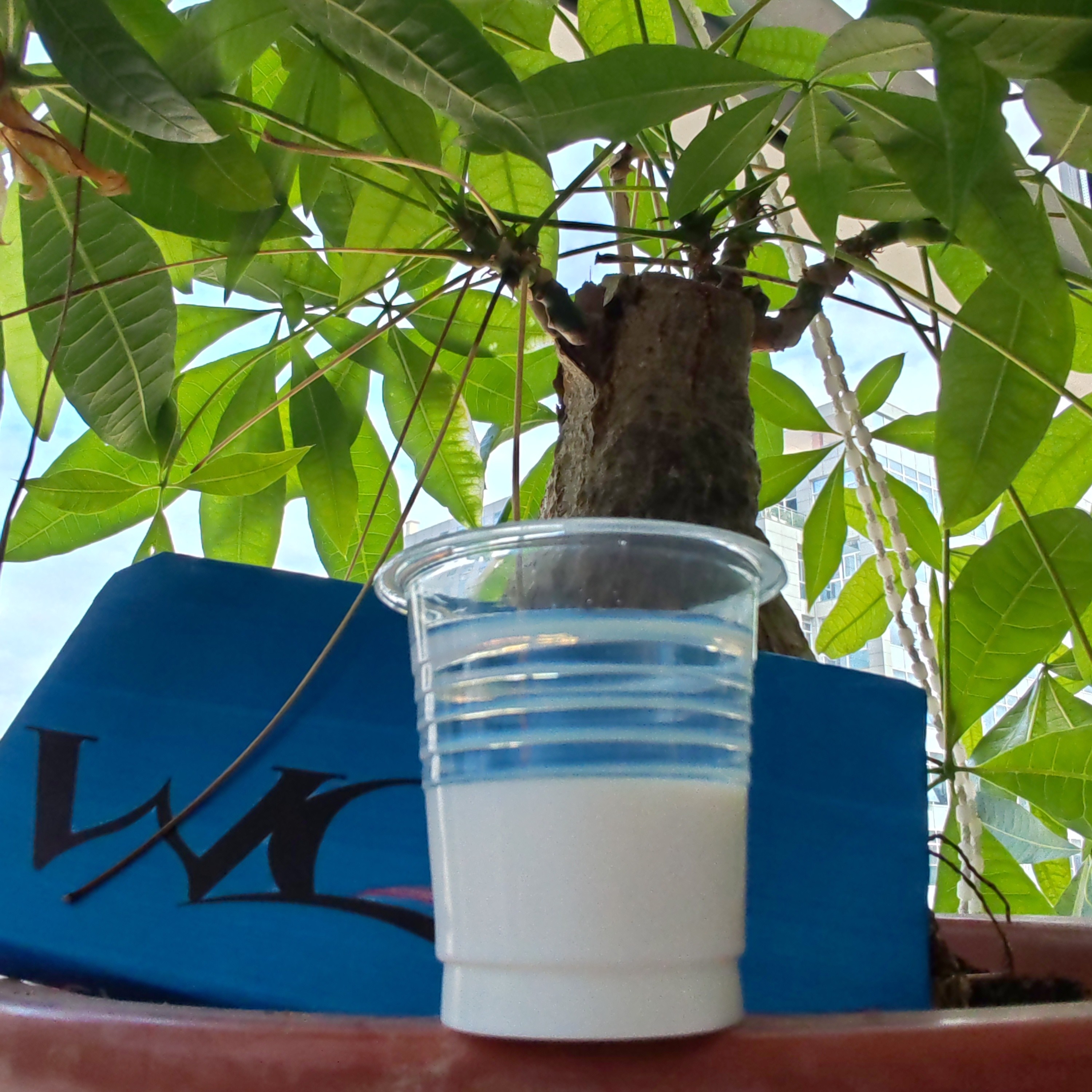 High Gloss Fullness Water-Based Epoxy Emulsion For Metal And Flooring ...